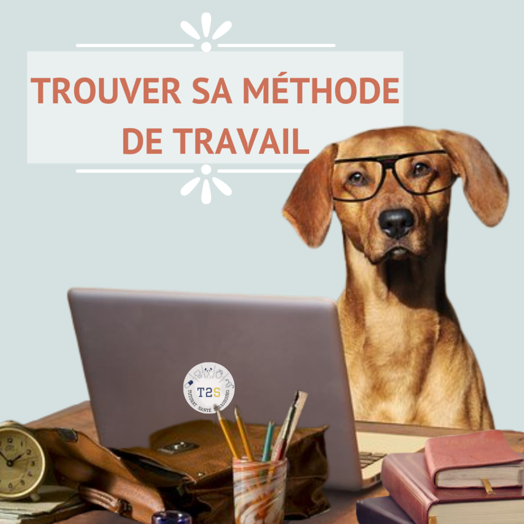 Fiches de méthodologie Archives • Page 2 sur 2 • Tutorat Santé Strasbourg