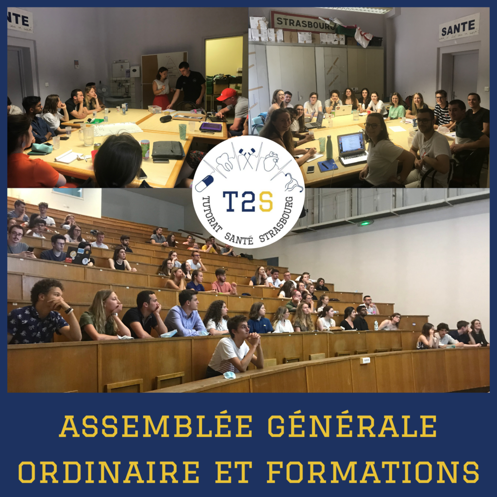 Retour Sur Lassemblée Générale Du T2s • Tutorat Santé Strasbourg
