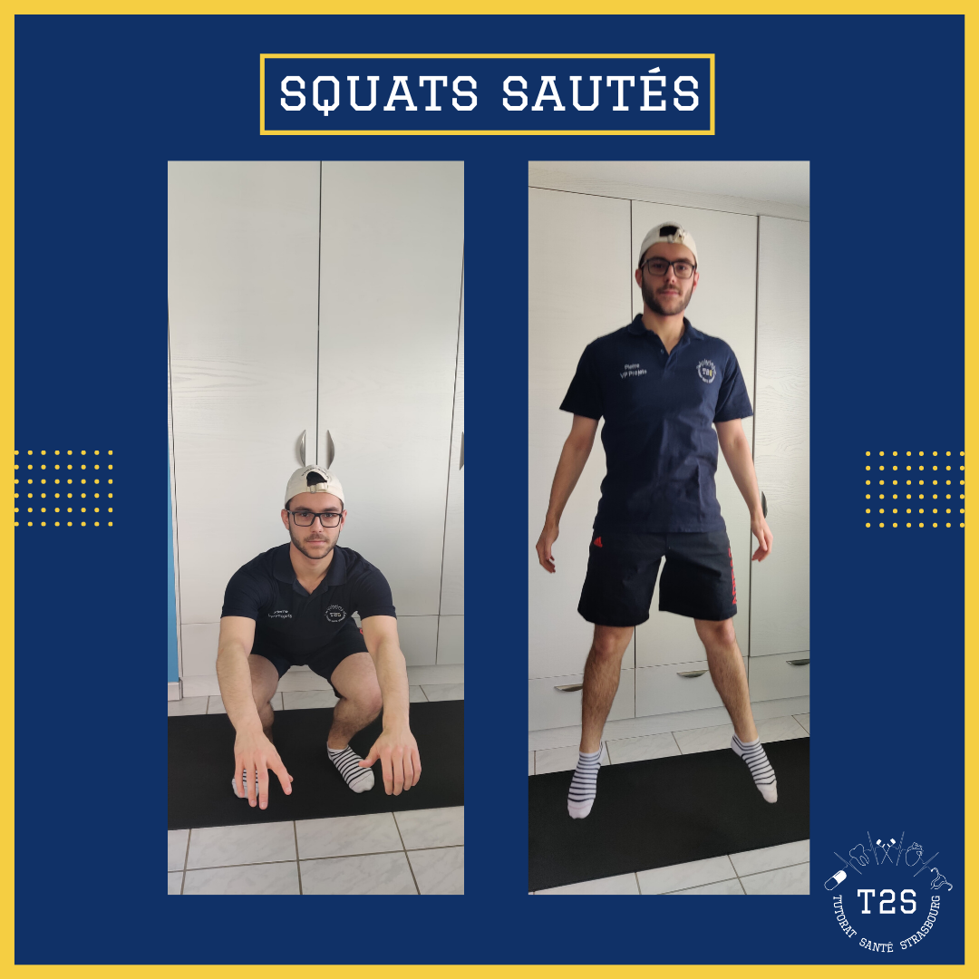 Exercices sportifs • Tutorat Santé Strasbourg